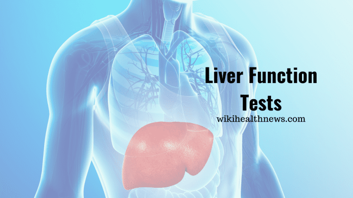 Liver Function Test: Check The Health Of Liver - wiki Health News