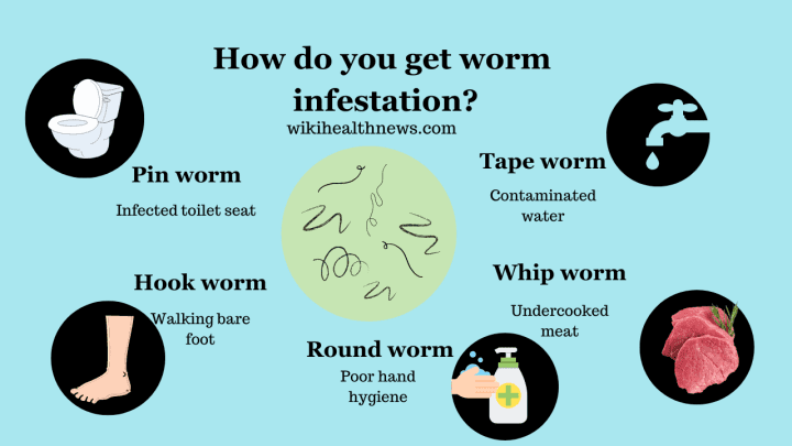 Worm Infestation: Symptoms & Treatment - wiki Health News