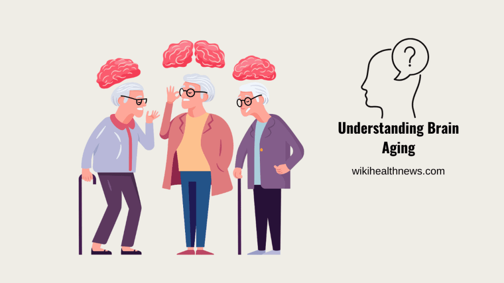 Facts About Brain Aging: What You Need to Understand - wiki Health News