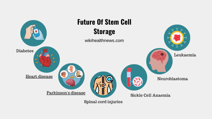 The Importance of Stem Cell Storage For Future Use - wiki Health News